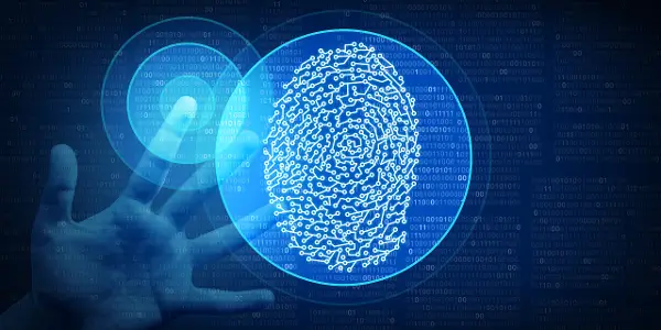 Identity Disclosure Risk in a Fully Synthetic Dataset Identity Disclosure Risk in a Fully Synthetic Dataset